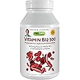 Amazon.com: ANDREW LESSMAN Vitamin B12 500 360 Capsules – Absorption ...