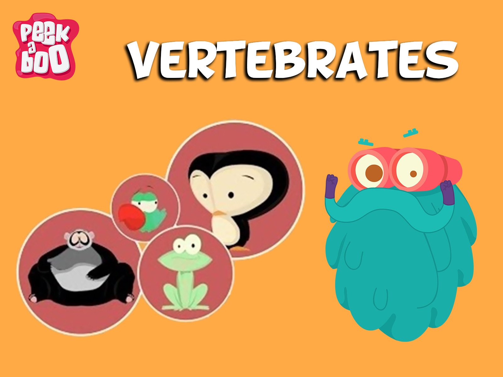 Watch Dr. Binocs Show Educational Videos For Kids | Prime Video