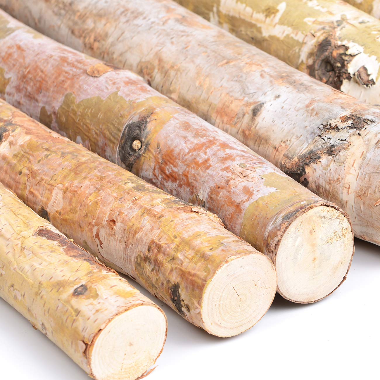 KINGCRAFT 6 Pack Medium White Birch Logs for Fireplace Unfinished Wood ...