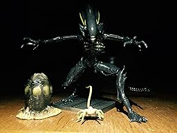 Amazon.com: Hiya Toys Aliens: Xenomorph Spitter Action Figure (1:18 ...