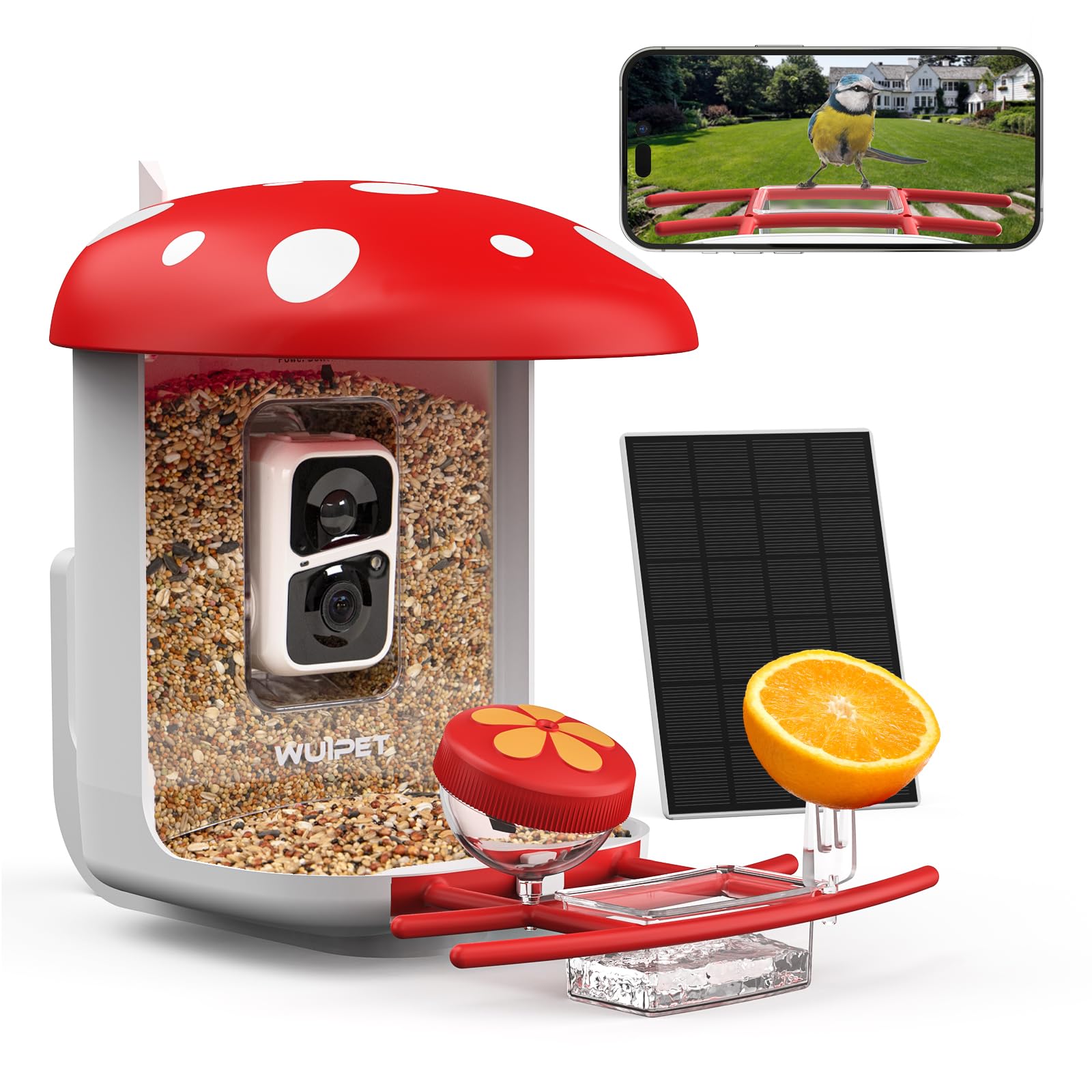 WUIPET Bird Feeder with Camera, Smart Bird Feeder Camera with AI ...