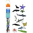 Amazon.com: Safari Ltd. Ocean TOOB - 12 Mini Figurines: Sea Lion, Eagle ...