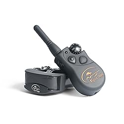 The 10 Best Remote Dog Training Collars - iHomePet