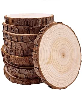 Amazon.com: Unfinished Natural with Tree Bark Wood Slices 10 Pcs 4.2-4. ...