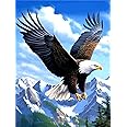 Amazon.com: SANYUN Hawk Diamond Art Kits for Adults &Beginner, Animals ...