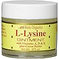Amazon.com: Basic Brands L-Lysine Ointment, Cold Sore Fever Blister ...