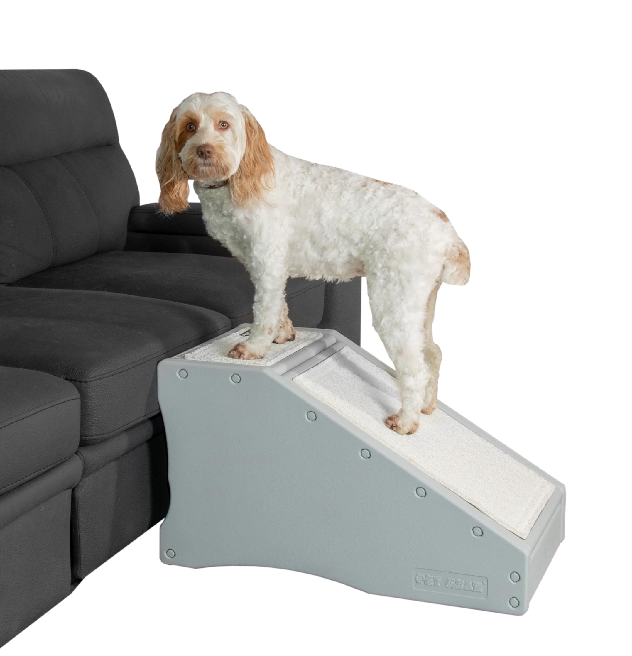 Pet Gear Stramp Stair and Ramp Combination for Dogs/Cats, Easy Step ...