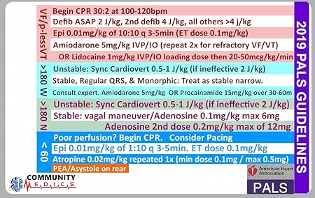 Amazon.com: Quick PALS Card (2020 PALS Guidelines) AHA PALS Reference ...