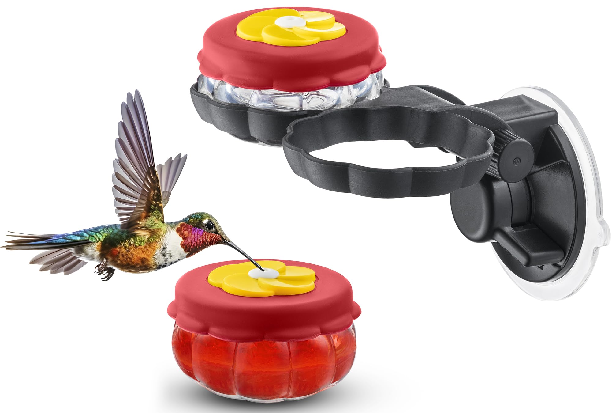 Mua Handheld Small Glass Hummingbird Feeders (Set of 2) with Window ...
