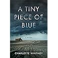 Amazon.com: A Tiny Piece of Blue: A Novel: 9781647428365: Whitney ...