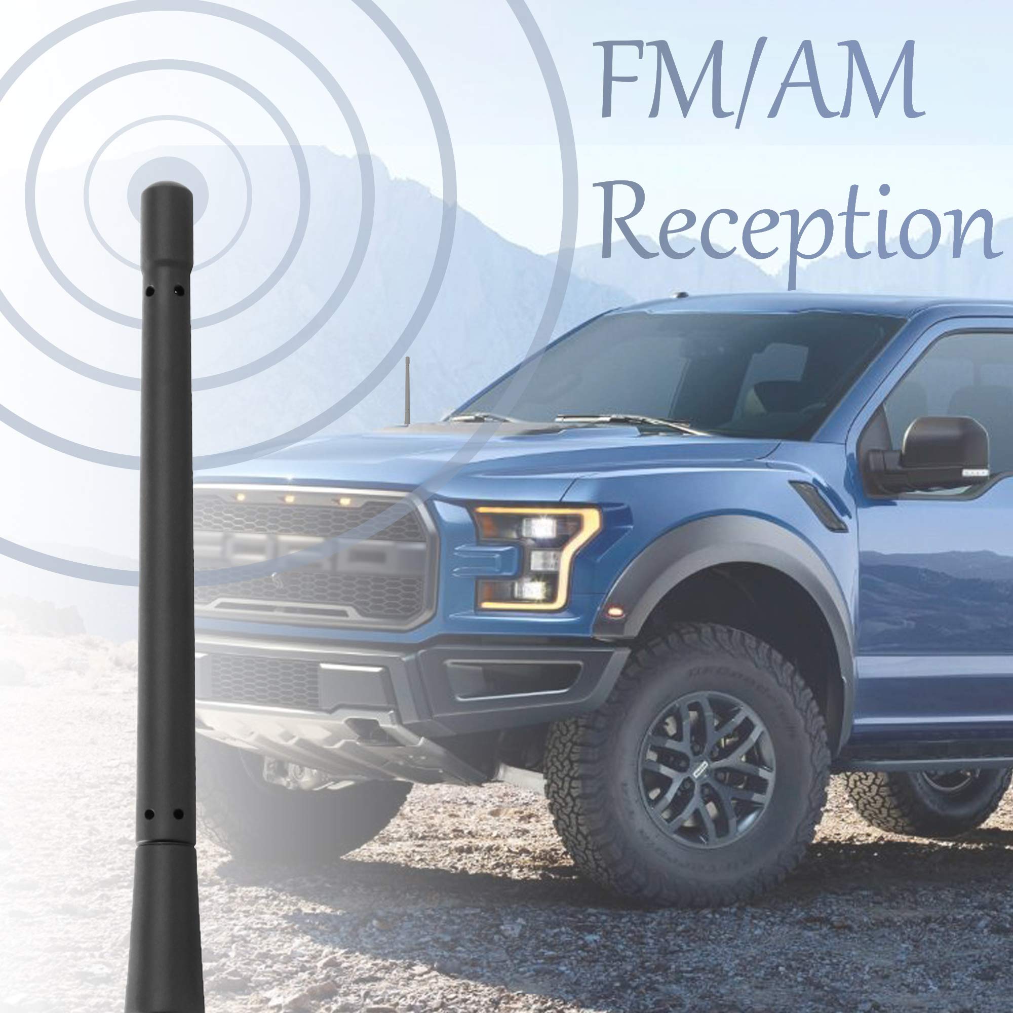 Mua KSaAuto Antenna for Ford F150 F-150 2009-2024 2025, Truck Ford F150 ...