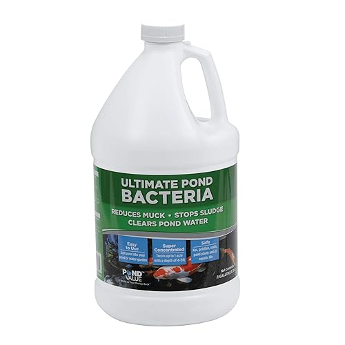 PondValue Ultimate Pond Bacteria, Outdoor Pond & Lake Natural ...