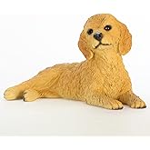 Amazon.com: Goldendoodle Standard Figurine : Home & Kitchen