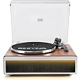Amazon.com: SeeYing Vinyl Record Player with Built in HiFi Speakers ...