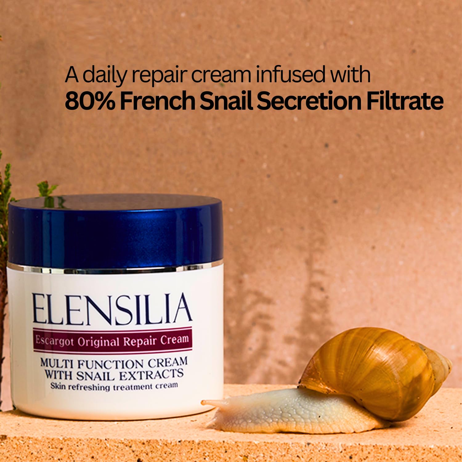 Mua Korean Cosmetics Elensilia Escargot Original Repair Cream with ...