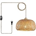 Hchunqjor Bamboo Plug in Pendant Light with 14ft Handmade Woven Light ...