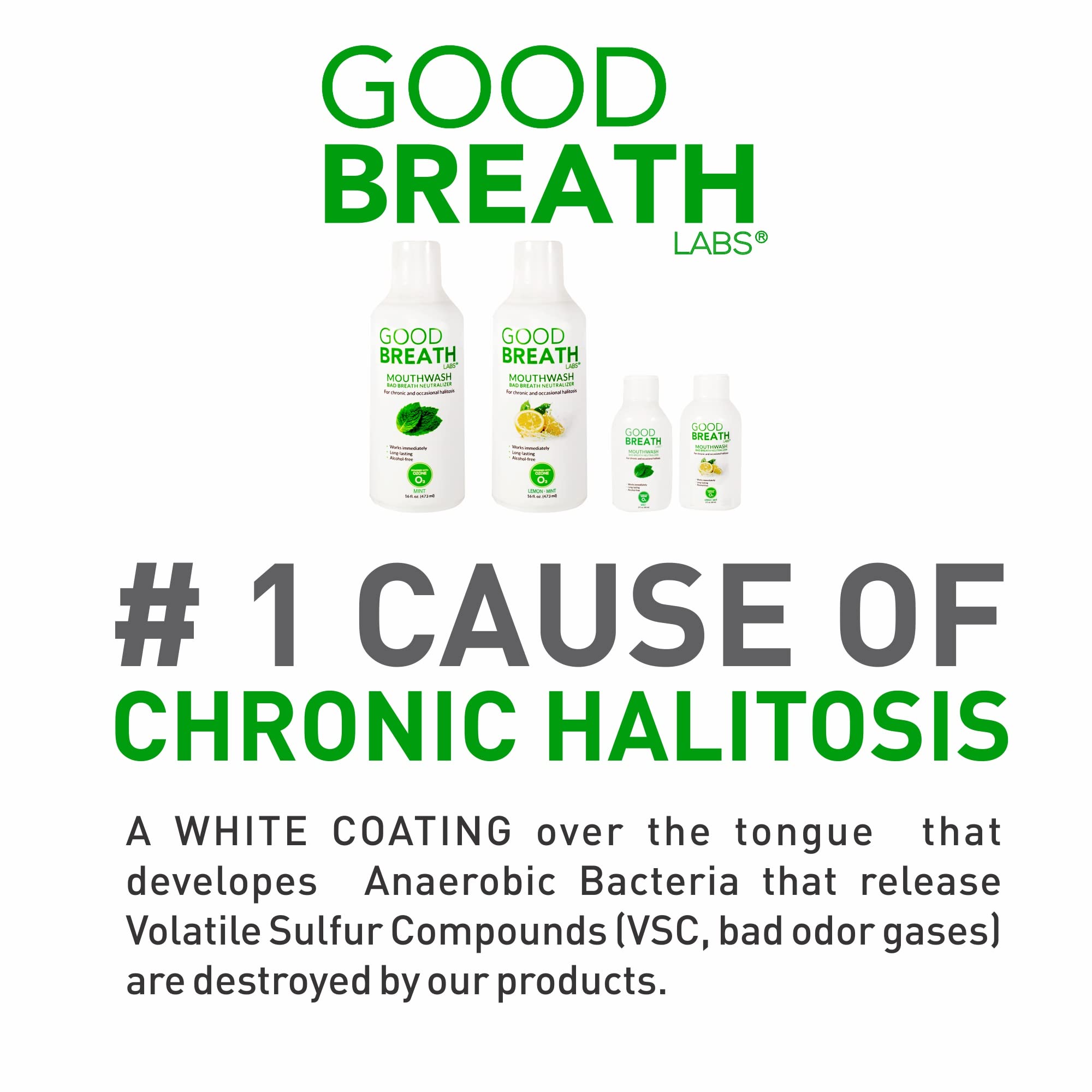 Mua Goodbreath Mouthwash - Mint Mouth Rinse for Chronic Halitosis - New ...