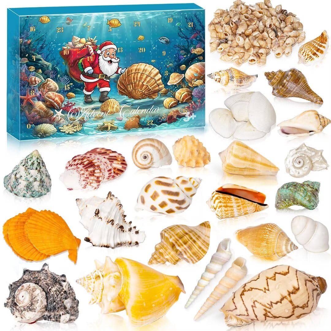 Advent Calendar 2024, Seashells Advent Calendar for Kids Teens Adults ...