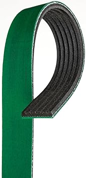 Amazon.com: ACDelco K061025HD Specialty Heavy Duty V-Ribbed Serpentine ...