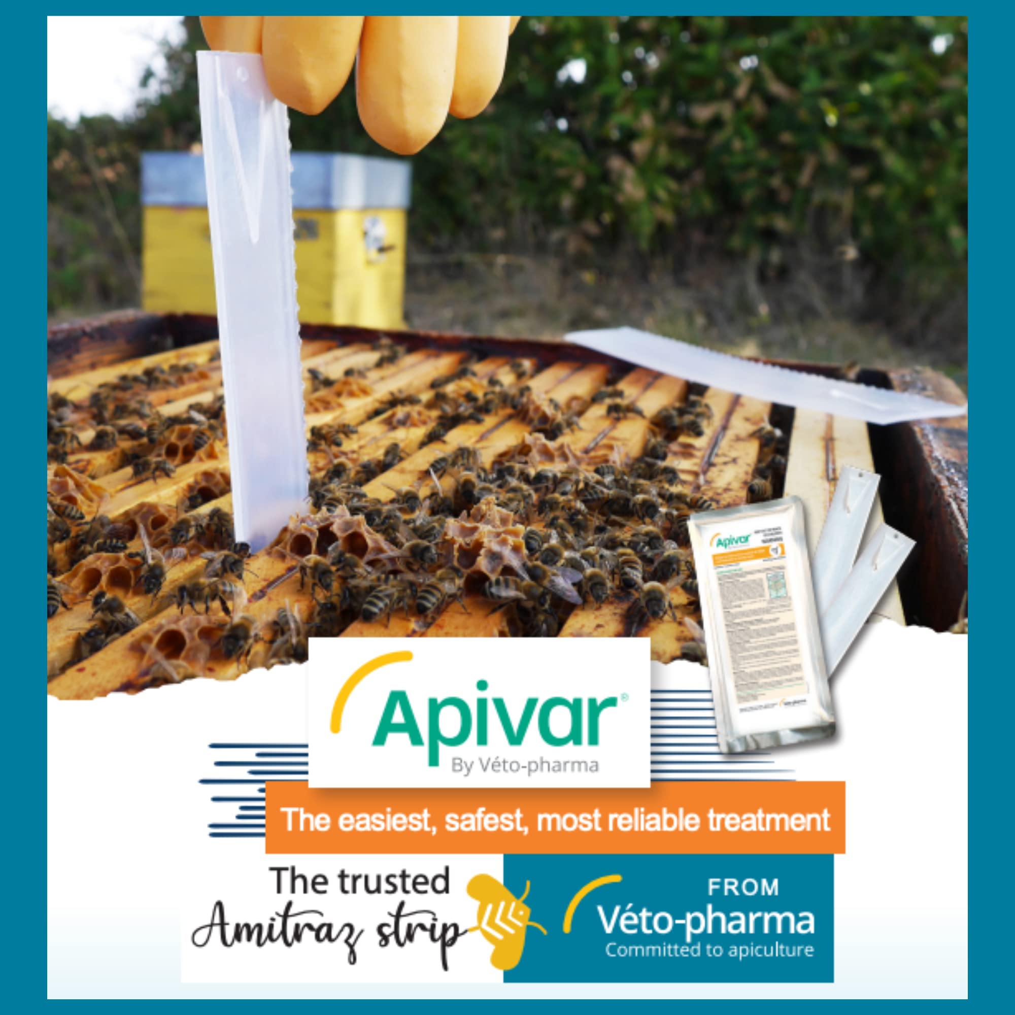 Mua Apivar Strips Varroa Mite Treatment for Honey Bees with Easy Rip ...