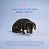 Turkey Tail Mushroom for Dogs - Mushroom Complex for Lumps and Bumps ...