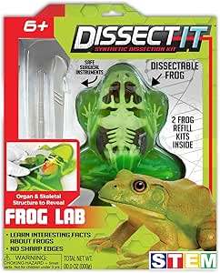 Amazon.com: Top Secret Toys Dissect-It Simulated Synthetic Lab ...