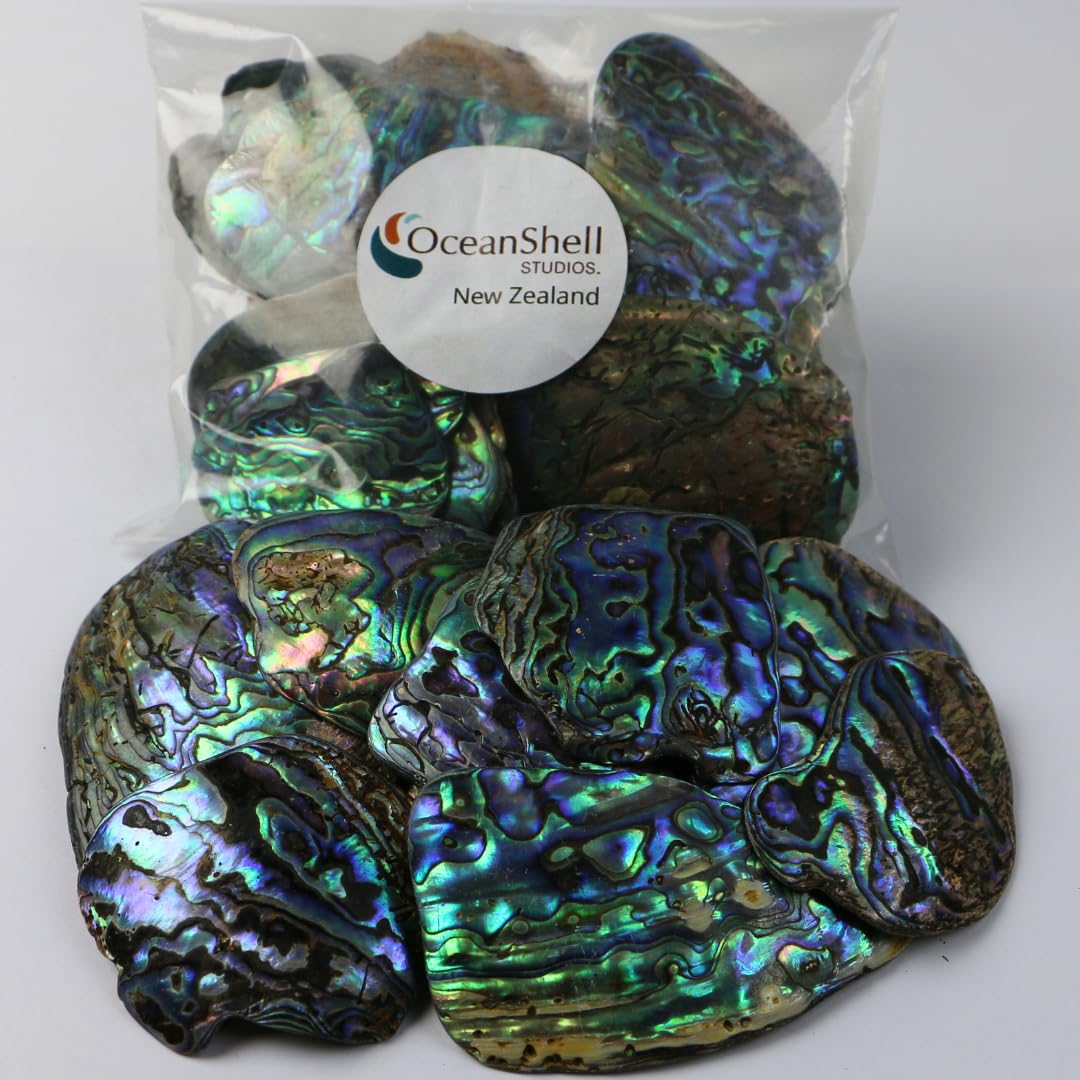 Ocean Shell Studios. shop Kuwait | Buy Ocean Shell Studios. products ...