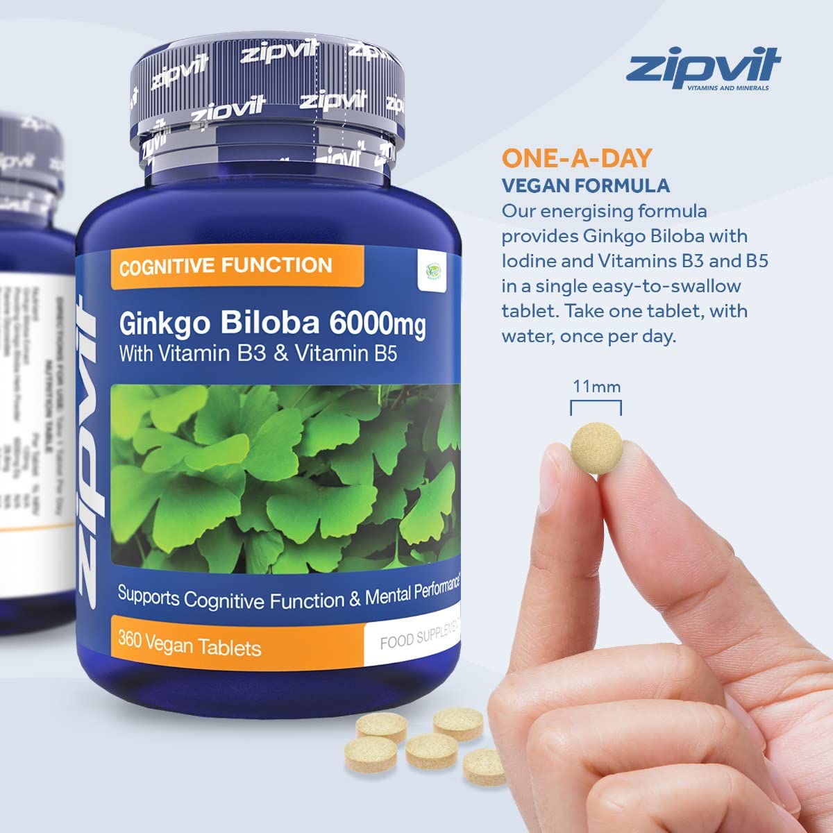 Mua Zipvit Ginkgo Biloba 6000mg with Vitamins B3 & B5, 360 Vegan ...