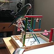 Penn Plax Wood Bird Playpen, Parrot Playstand Bird Playground Perch Gym ...