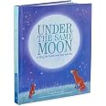 Amazon.com: Hallmark Under The Same Moon Recordable Storybook : Toys ...