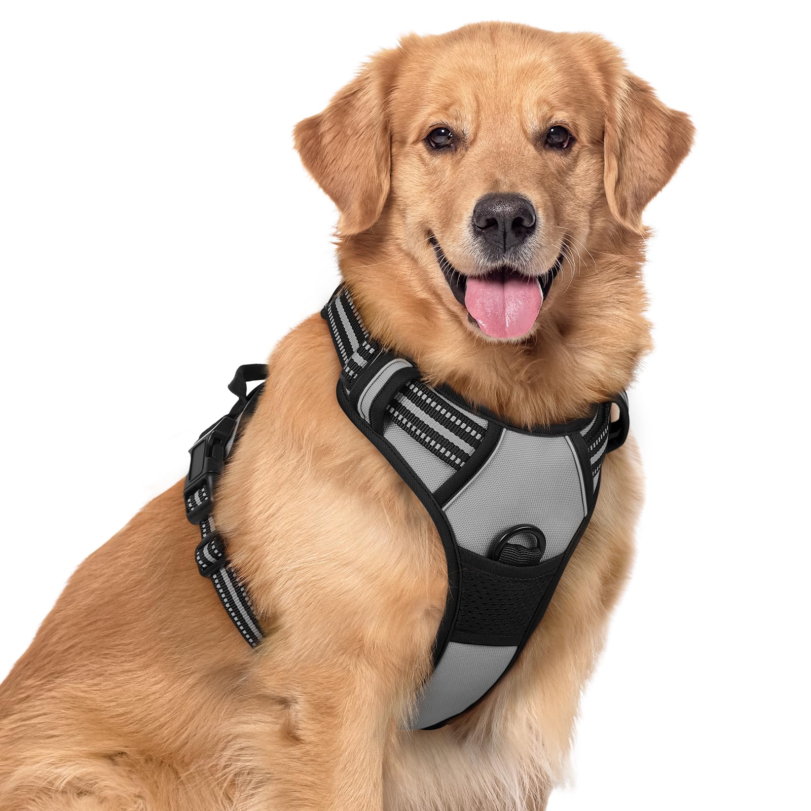 rabbitgoo Dog Harness No Pull with 2 Leash Clips, Adjustable Soft ...