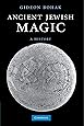 Ancient Jewish Magic: A History: Bohak, Gideon: 9780521180986: Amazon ...