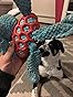 Pet Supplies : Dog Plush Squeaky Toy, ORYX Indestructible Dog Toy ...