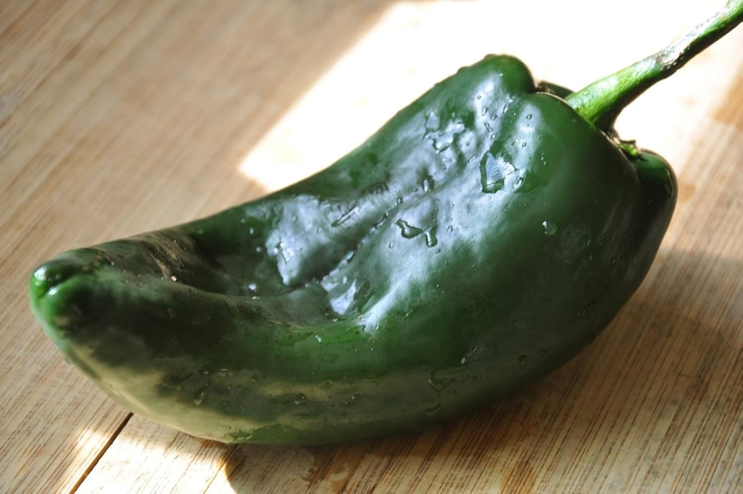 Amazon.com : 50 Pasilla Ancho Seeds Poblano Mild Chili Chile Pepper ...