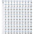 Amazon.com: hand2mind -20 to 100 Integer Number Line for Classroom Wall ...