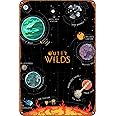 Amazon.com: Outer Wilds Game Poster Tin Sign Cafe bar Home Wall Art ...