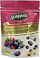 Happilo Premium Dried Whole Blueberry Cranberry Duet, 200g: Amazon.in ...