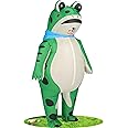 Amazon.com: JINSTABAG Inflatable Costume for Kids Frog Full Body Deluxe ...