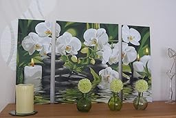 Schipper 609260681 - Malen nach Zahlen - Wellness Oase, Triptychon, 50 x 80 cm: Amazon.de: Spielzeug