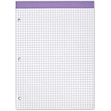 Amazon.com : Ampad 20-287, Evidence Dual Pads, Letter Size, Pink Ruling ...