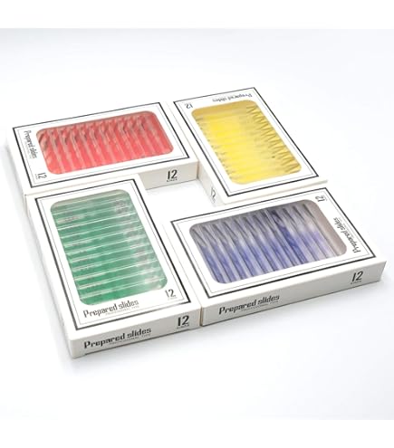 Experiment Lab Report Stating The Correct Procedure For Viewing A ...