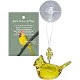 Amazon.com: Elskandi Yellow Cardinal of Hope Ornament, Peace & Joy ...