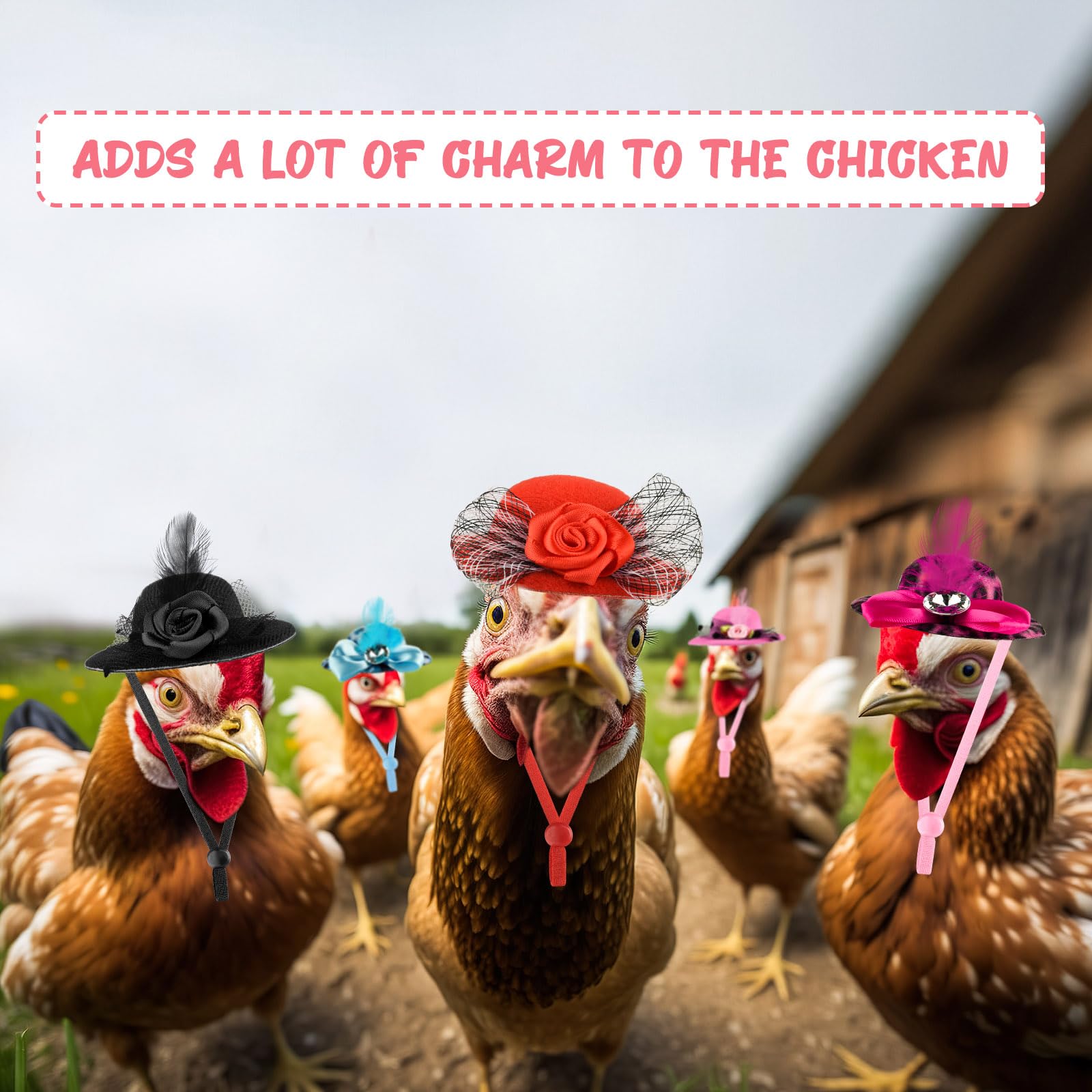 Mua Bouiexye Chicken Hats, 6Pcs Chicken Helmet Chicken Clothes for Hens ...