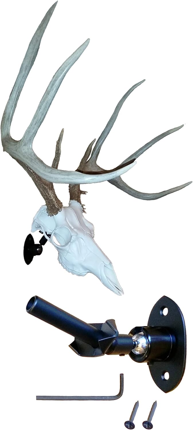 Taxidermy European Skull Mount Bracket fits Deer Bear Wild Boar ...