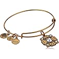 Amazon.com: Alex and Ani Bride Charm Bangle, Rafaelian Gold, Expandable: Clothing, Shoes & Jewelry