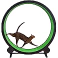 Amazon.com : One Fast Cat Exercise Wheel - Green : Pet Supplies