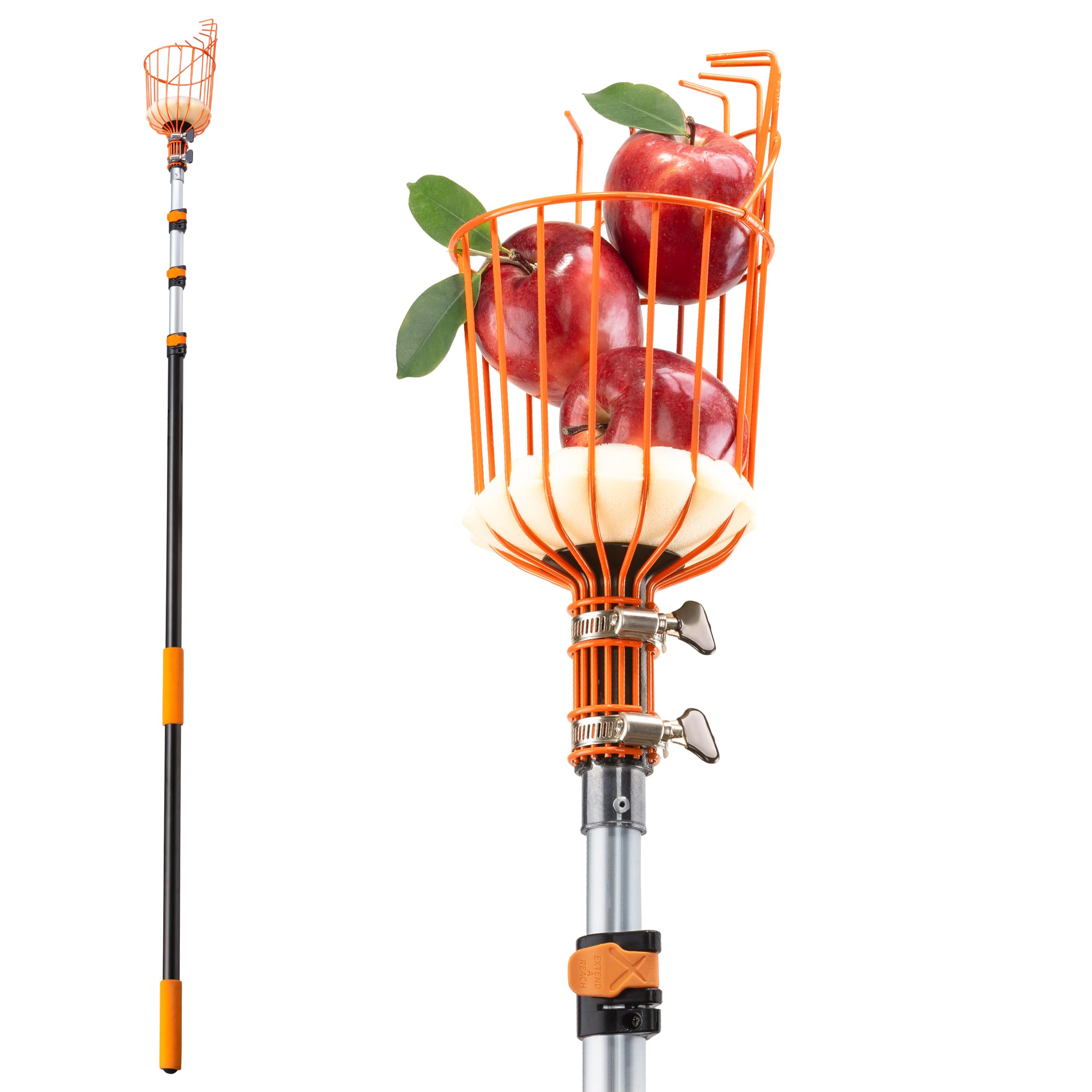 Mua Fruit Picker Pole with Basket Telescoping 7-30 ft Apple Picker ...