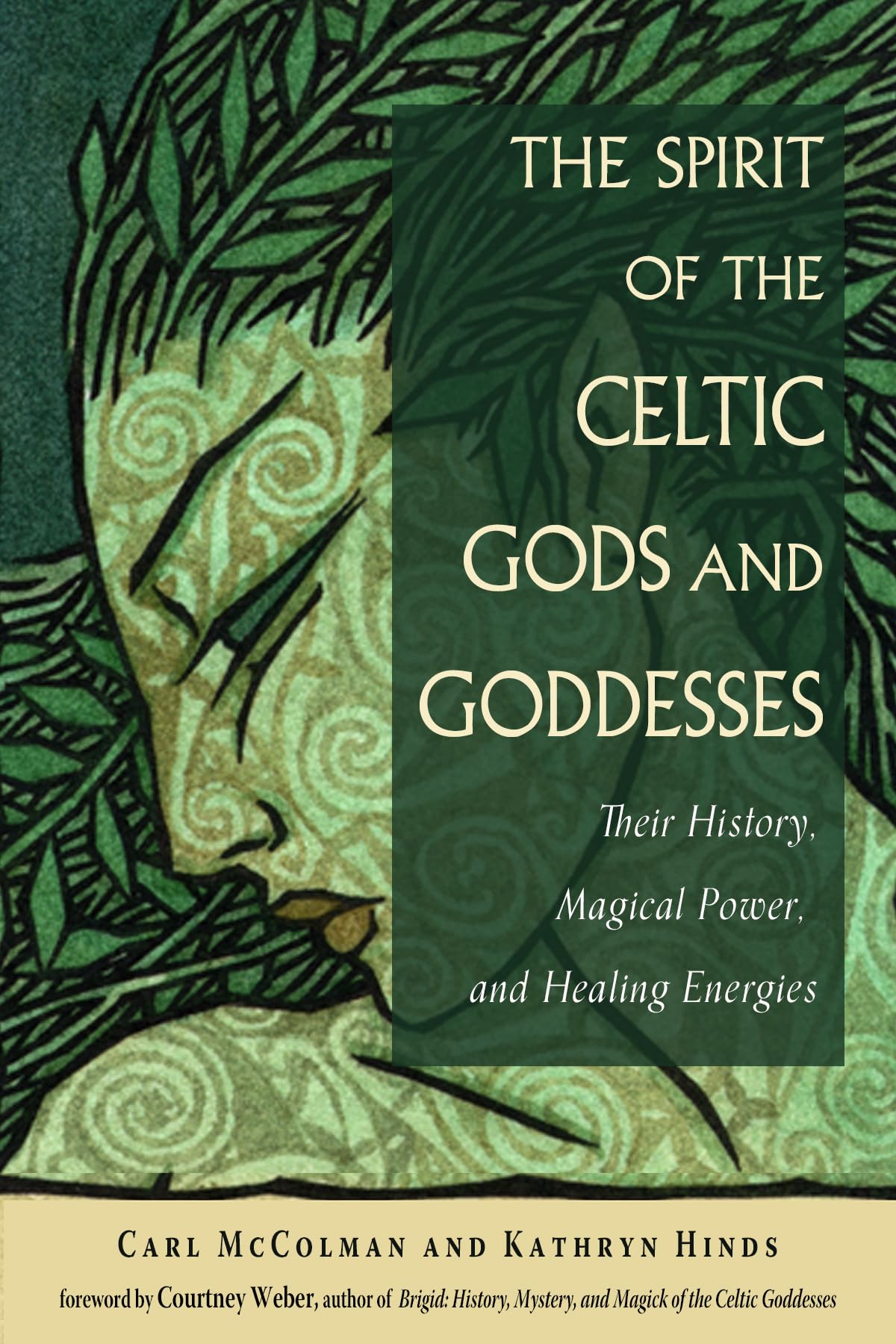 Mua The Spirit of the Celtic Gods and Goddesses: Their History, Magical ...