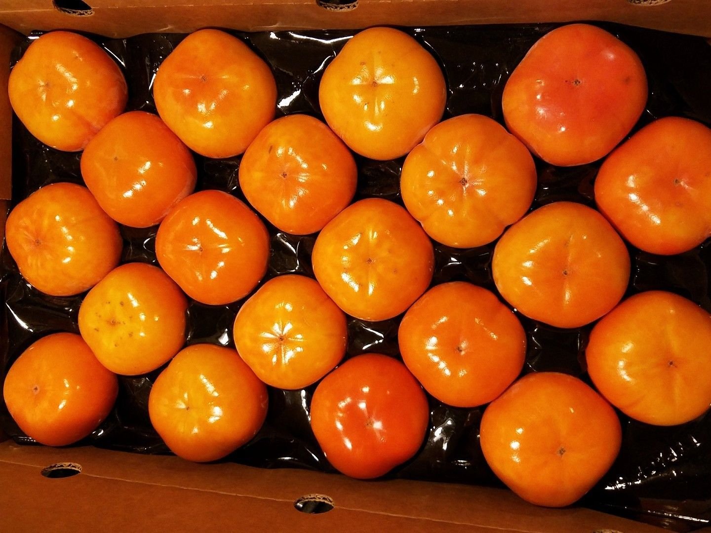 Amazon.com : Persimmons Fuyu (5 lbs) : Grocery & Gourmet Food