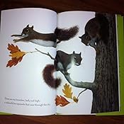 The Busy Tree: Jennifer Ward, Lisa Falkenstern: 9780761455509: Amazon ...